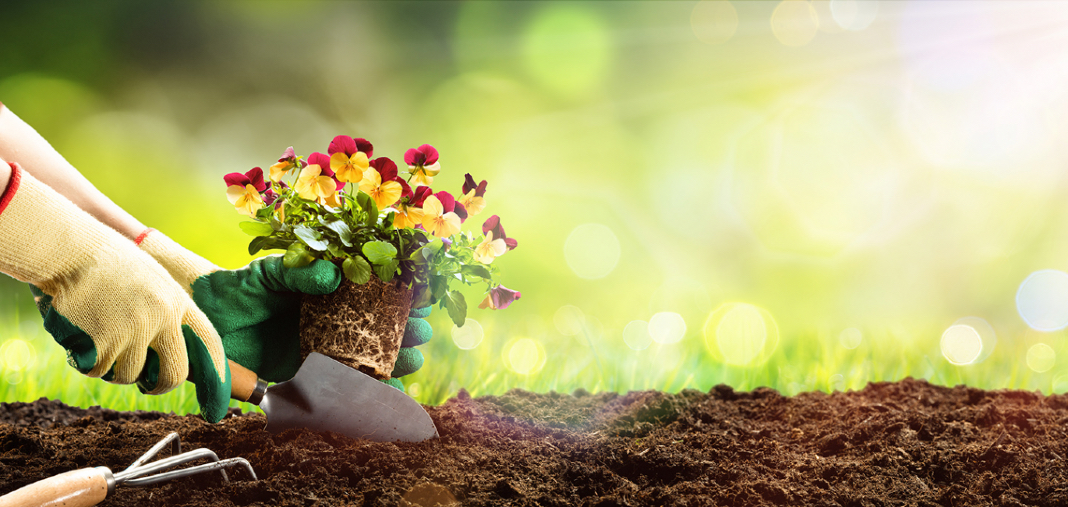Principales tendencias de jardinería 2020 - Artículos